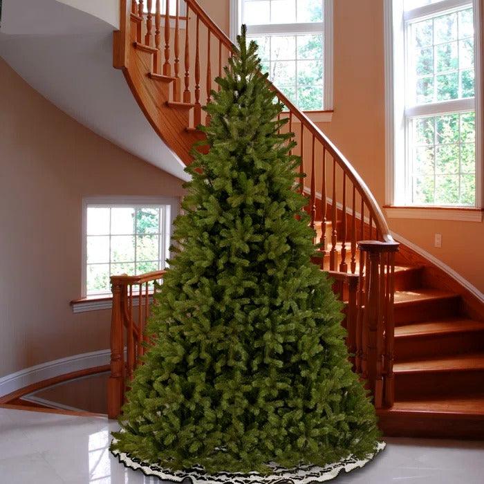 Christmas Trees USA